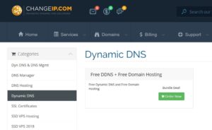 6 Best Dynamic DNS Providers 2025 | Top DDNS Solutions