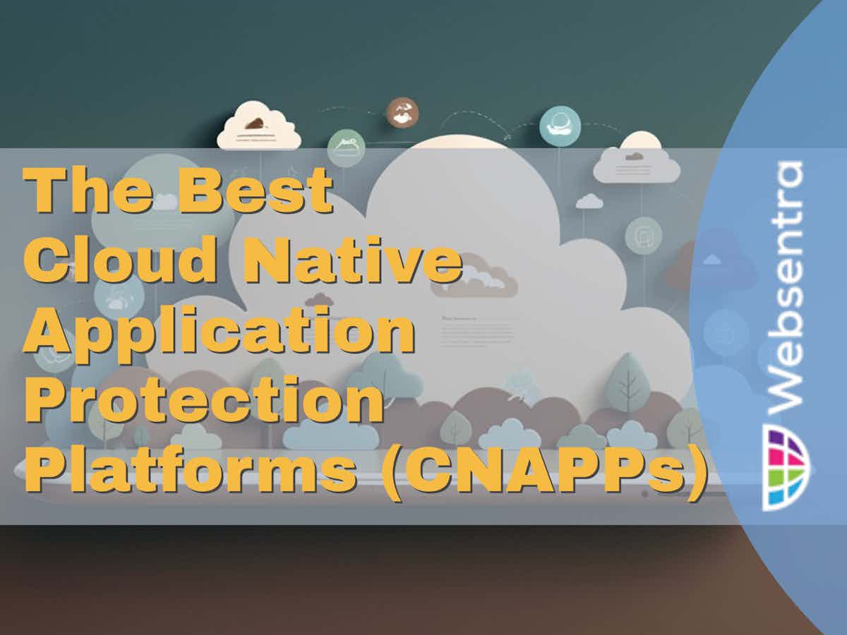 6 Best Cloud Application Protection Platforms (CNAPPs) for 2024