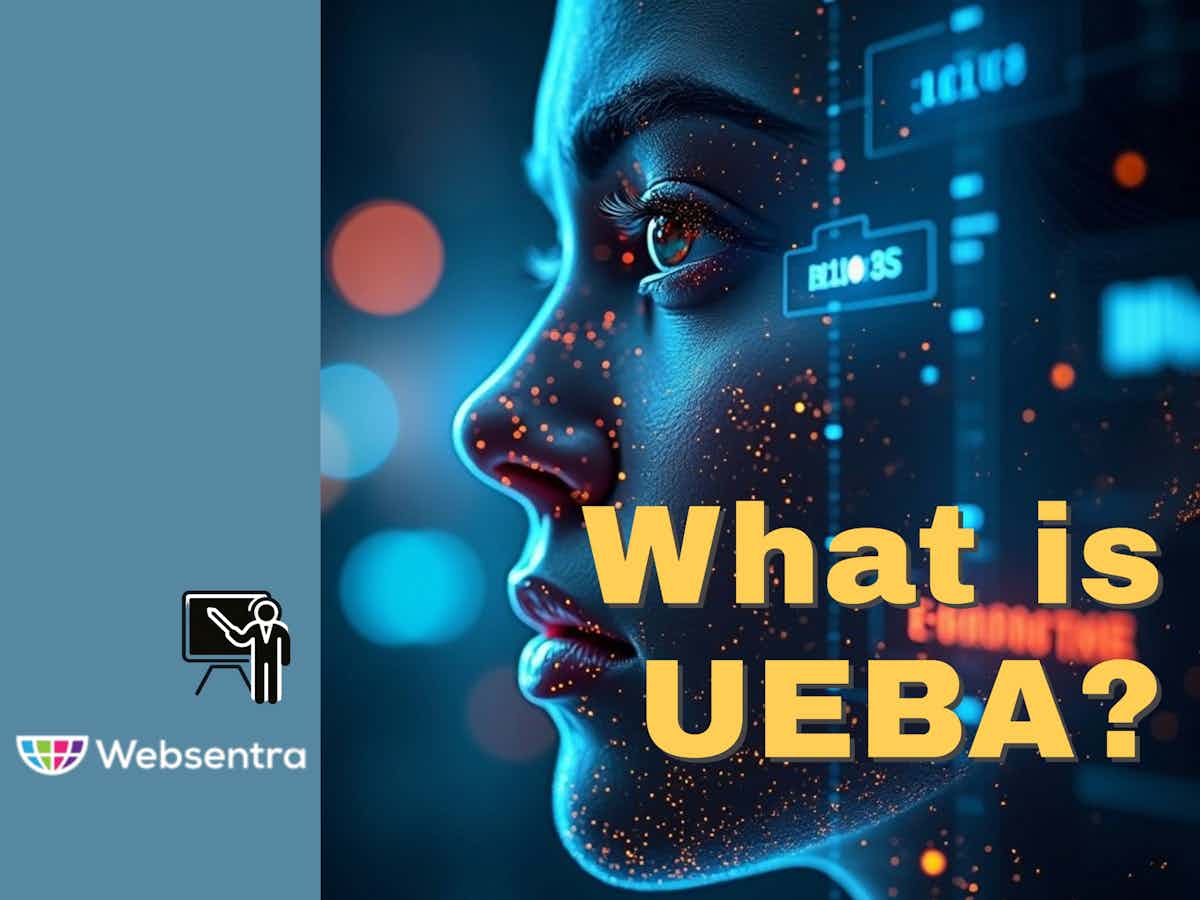 Understanding User and Entity Behavior Analytics (UEBA) in 2024