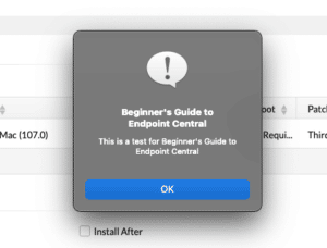 ManageEngine Endpoint Central 2024 Beginner’s Guide
