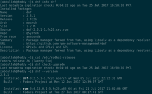 Best Linux Package Managers and honorable mentions for 2025