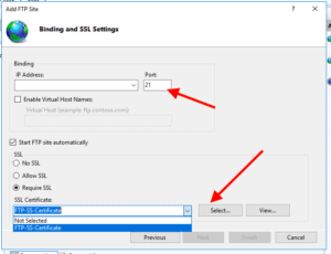 Installing a secure FTP server on Windows using IIS